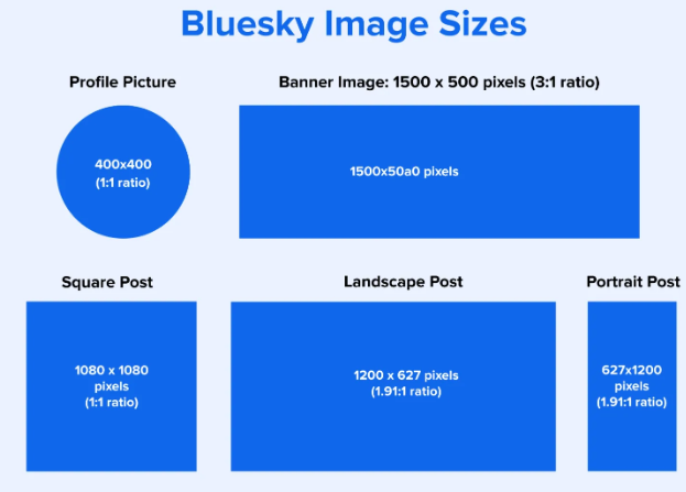Twitter PFP Circle Size and Image Size Guide