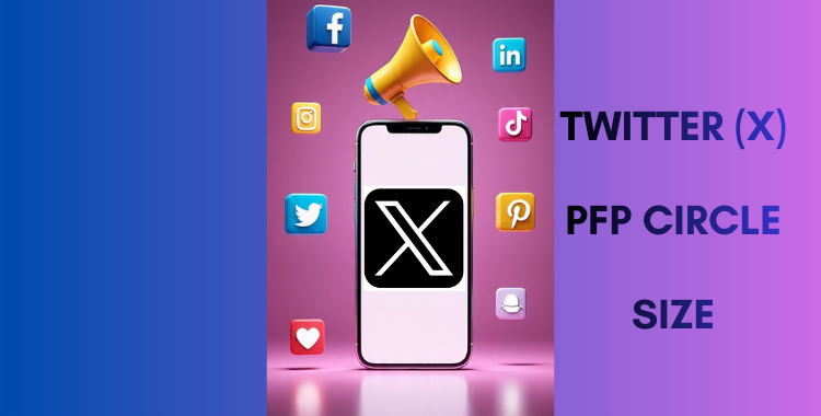 Twitter PFP Circle Size and Image Size Guide